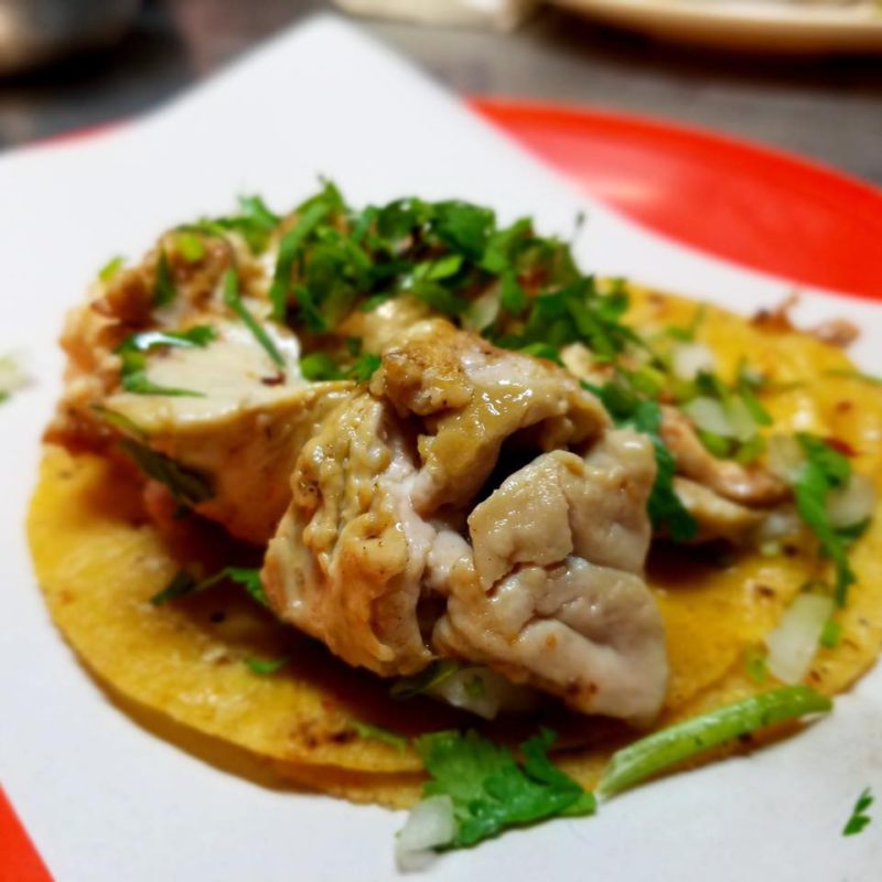 10 Strange but tasty foods to eat in Mexico – TourHero